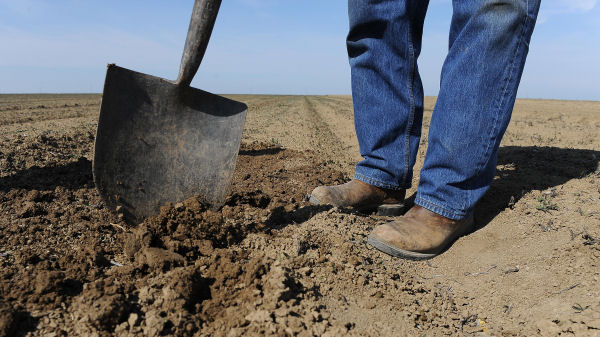 Ten ideas to save the planet: the growing problem – Channel 4 News