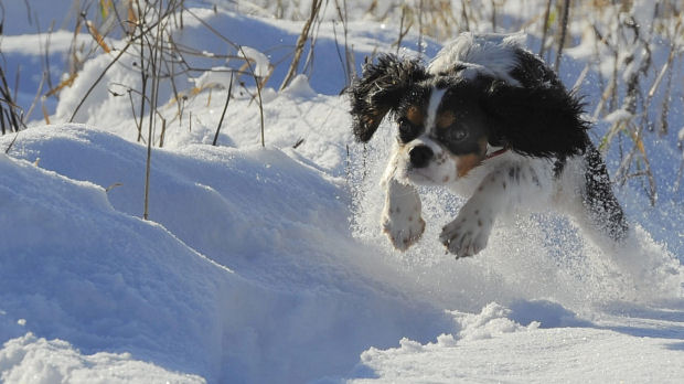 UK snow: severe weather warnings for cold snap – Channel 4 News