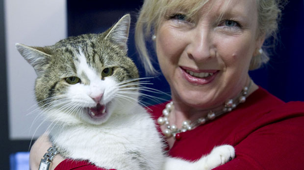 Cameron ‘appoints’ Larry the cat as Downing Street ratter – Channel 4 News
