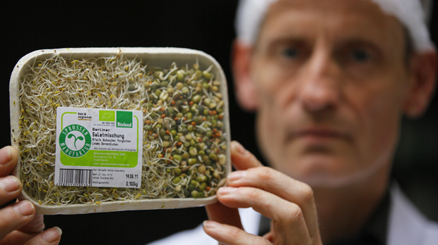 Bean sprouts ‘most likely’ source of E.coli outbreak – Channel 4 News