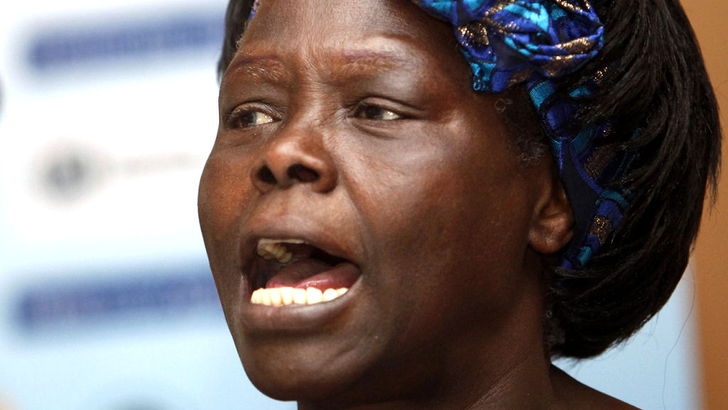 Kenyan environmental activist Wangari Maathai dies – Channel 4 News