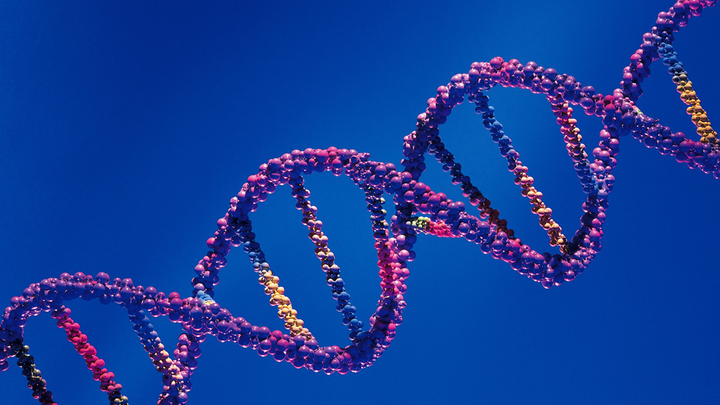 Breast cancer genetic code mapped – Channel 4 News