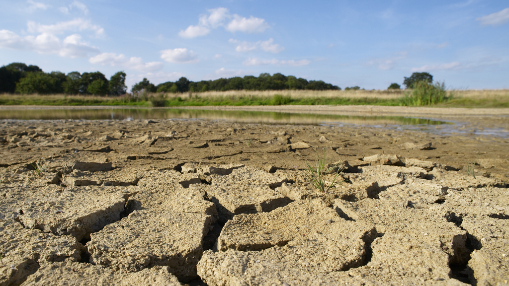 Drought extends to parts of northern England – Channel 4 News