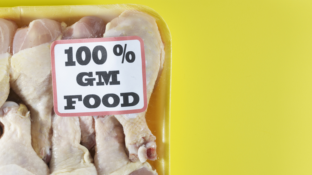 A brief history of GM – Channel 4 News