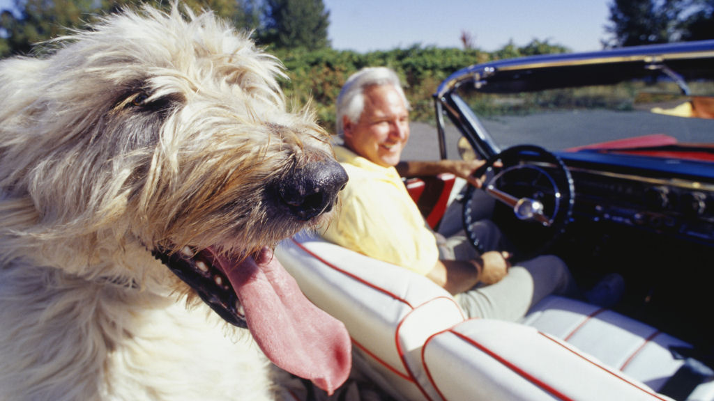 Now it’s official: dogs are humans too – Channel 4 News