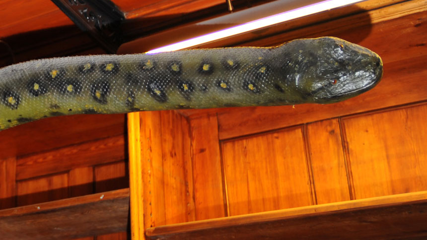 William Hague: snake charmer? – Channel 4 News