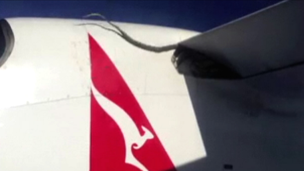 Passengers film real-life snake on a plane – Channel 4 News