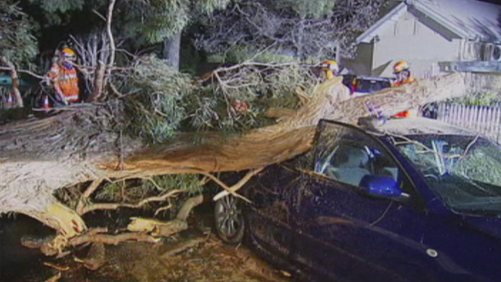 Melbourne storm rips down trees – Channel 4 News