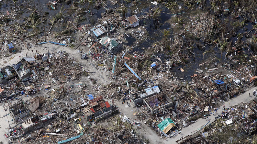 Animals rescued in the aftermath of Typhoon Haiyan – Channel 4 News