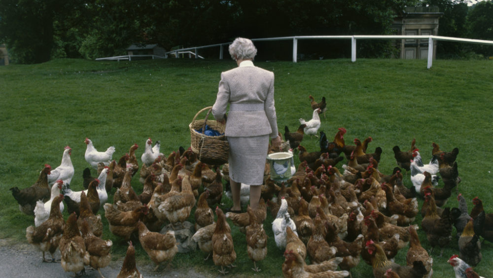 Last of the Mitford sisters: farewell to Debo Devonshire – Jon Snow ...