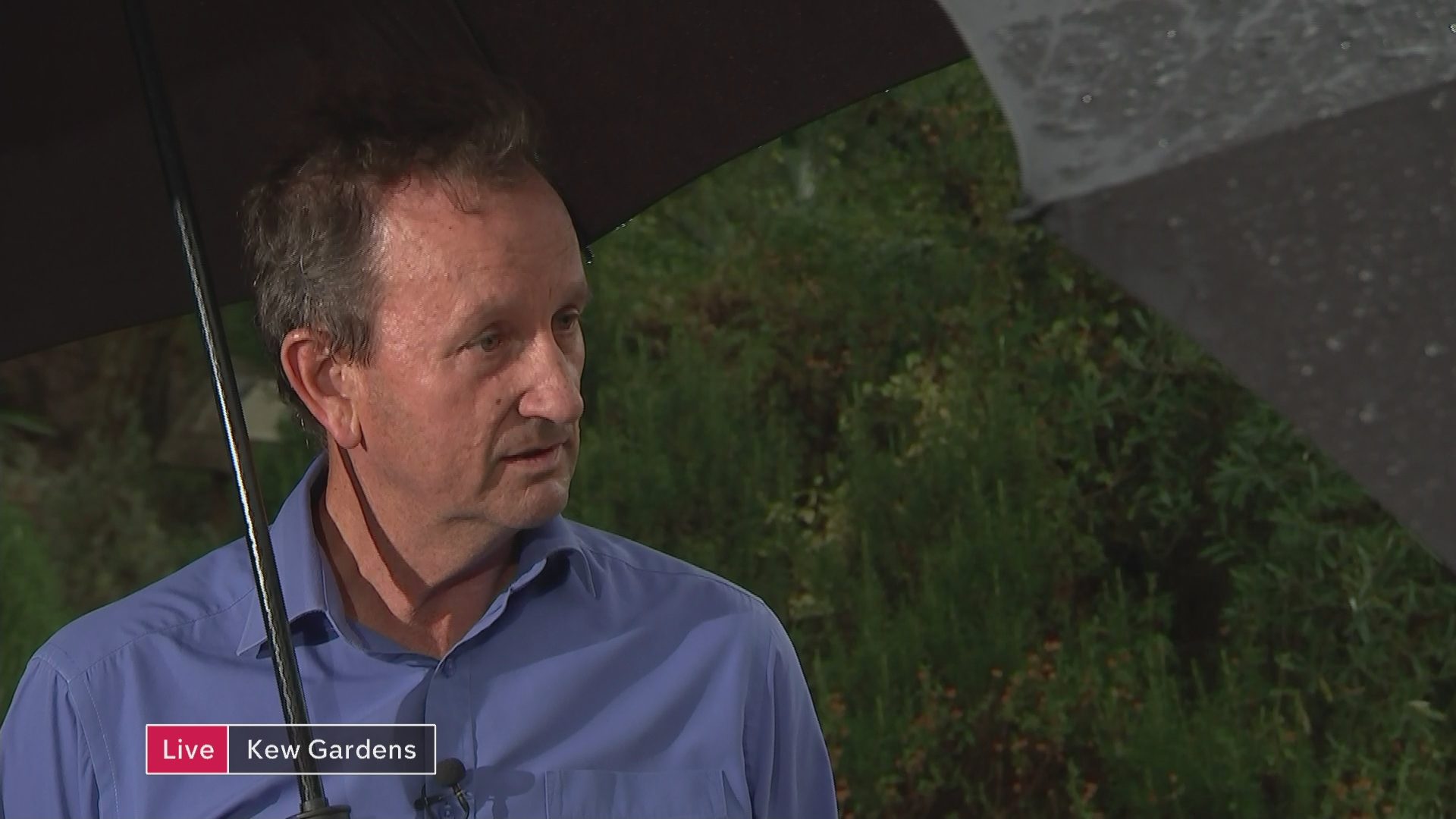 Kew horticulturalist Richard Barley: ‘We’ve been really looking forward ...