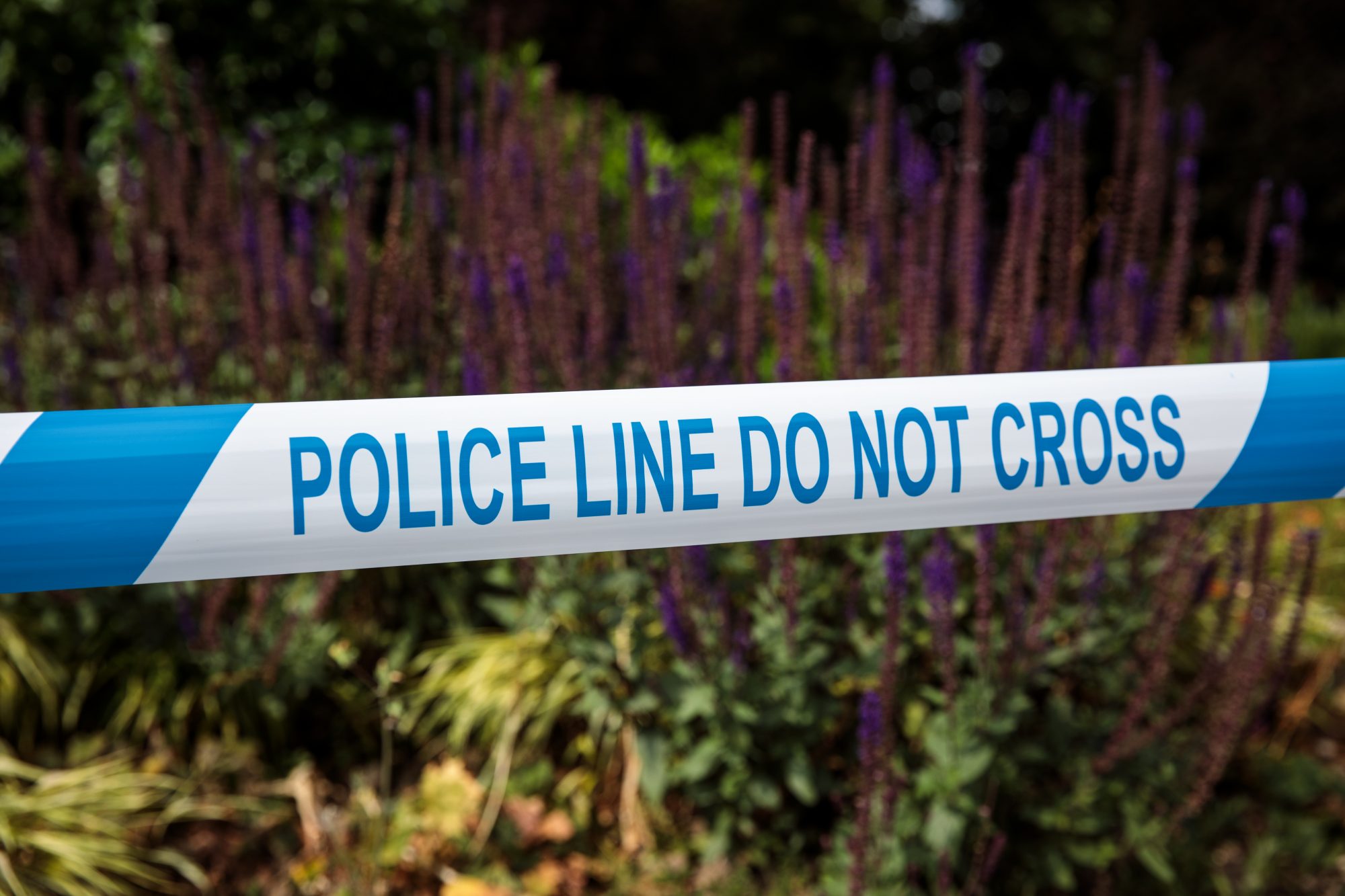 Police search intensifies after couple poisoned with Novichok – Channel ...