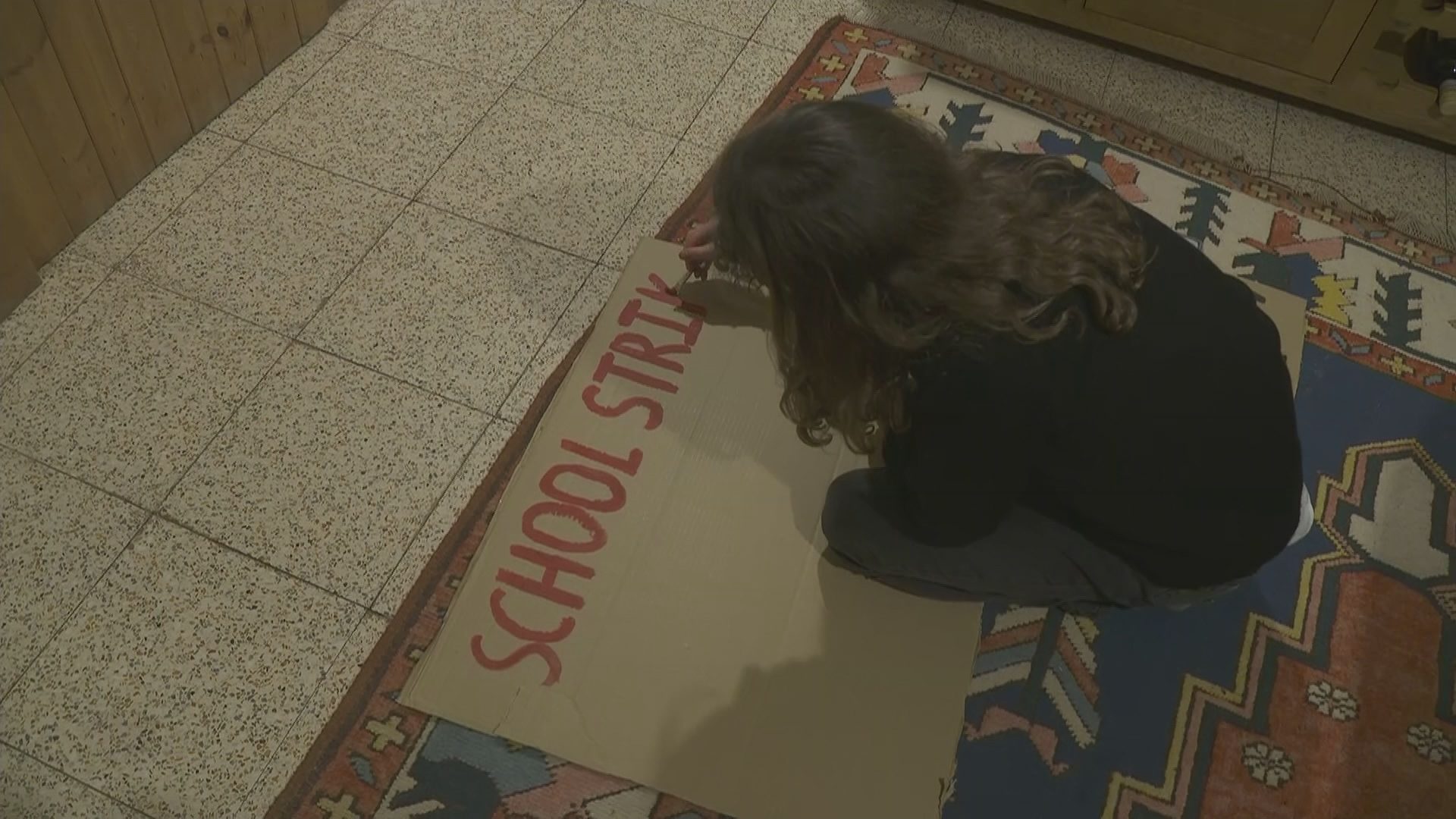 School children go on strike in climate change protest – Channel 4 News