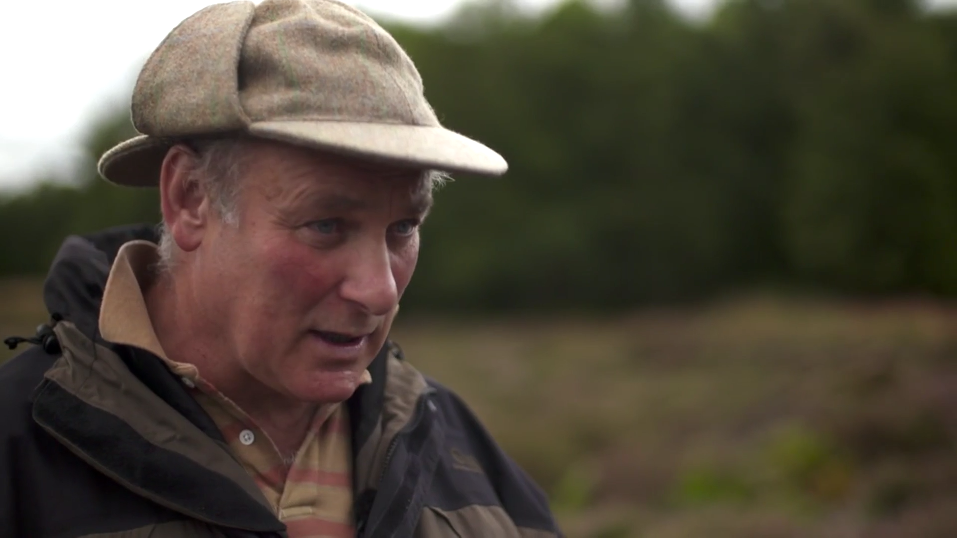 Calls to review grouse shooting as season begins – Channel 4 News