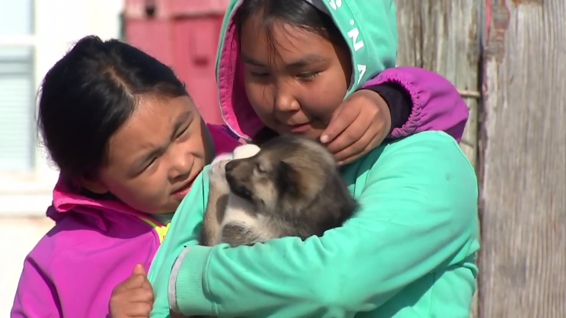 How climate change is melting Greenland – Channel 4 News