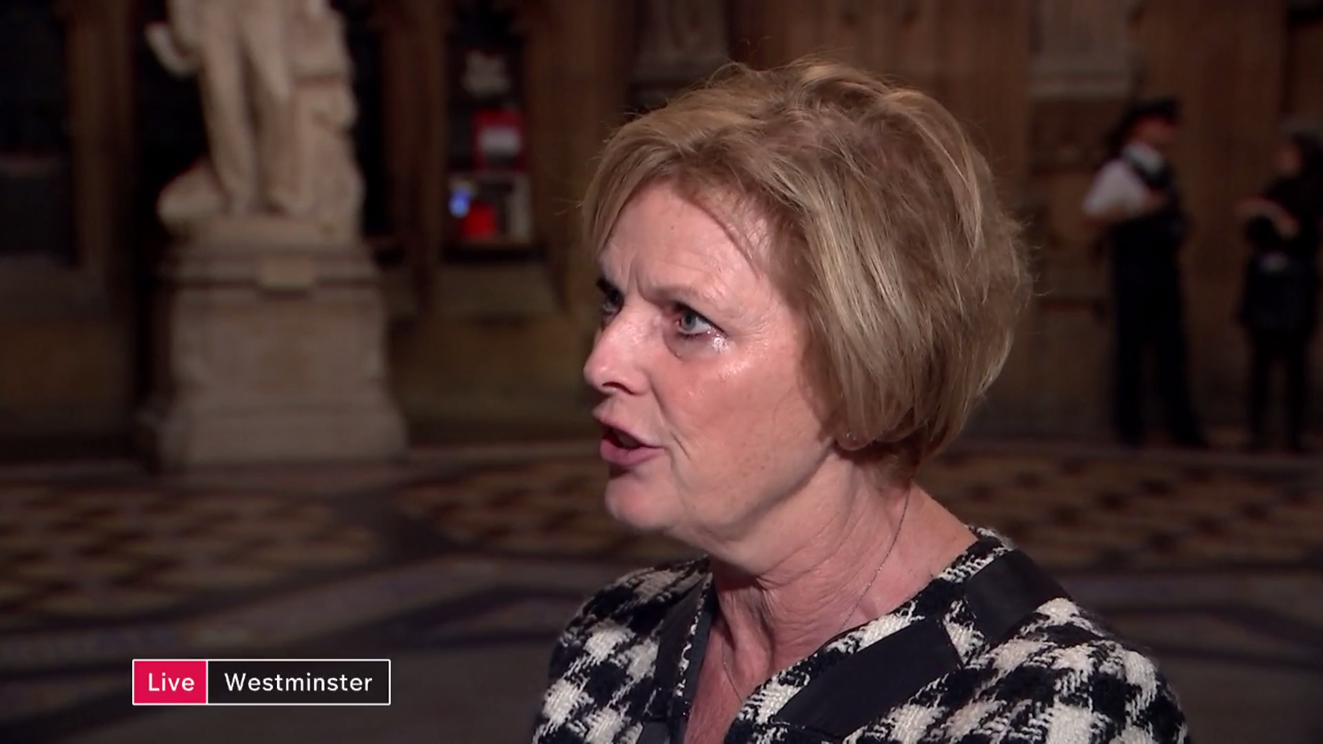 ‘This is taking the mickey’: Independent MP Anna Soubry says Boris ...