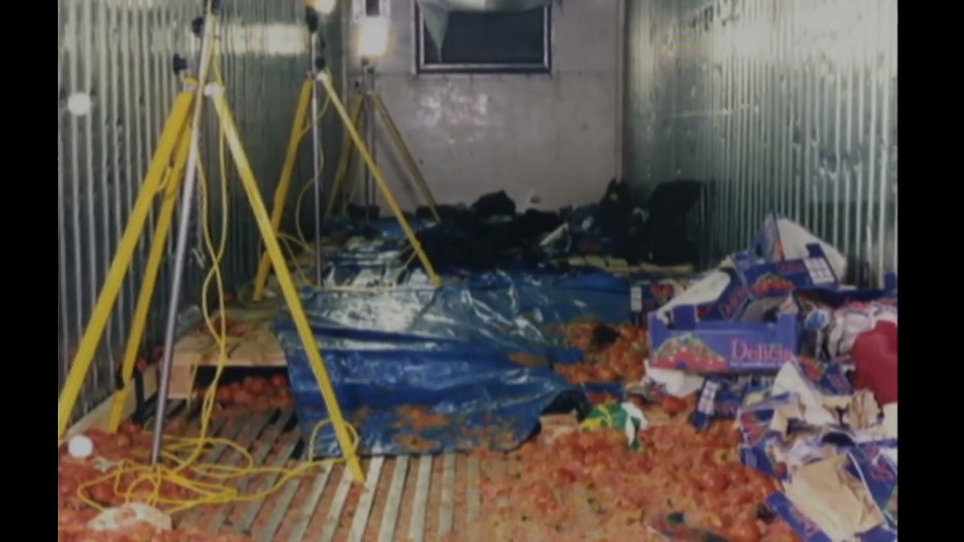 Essex tragedy a bleak reminder of Chinese lorry deaths in 2000 ...