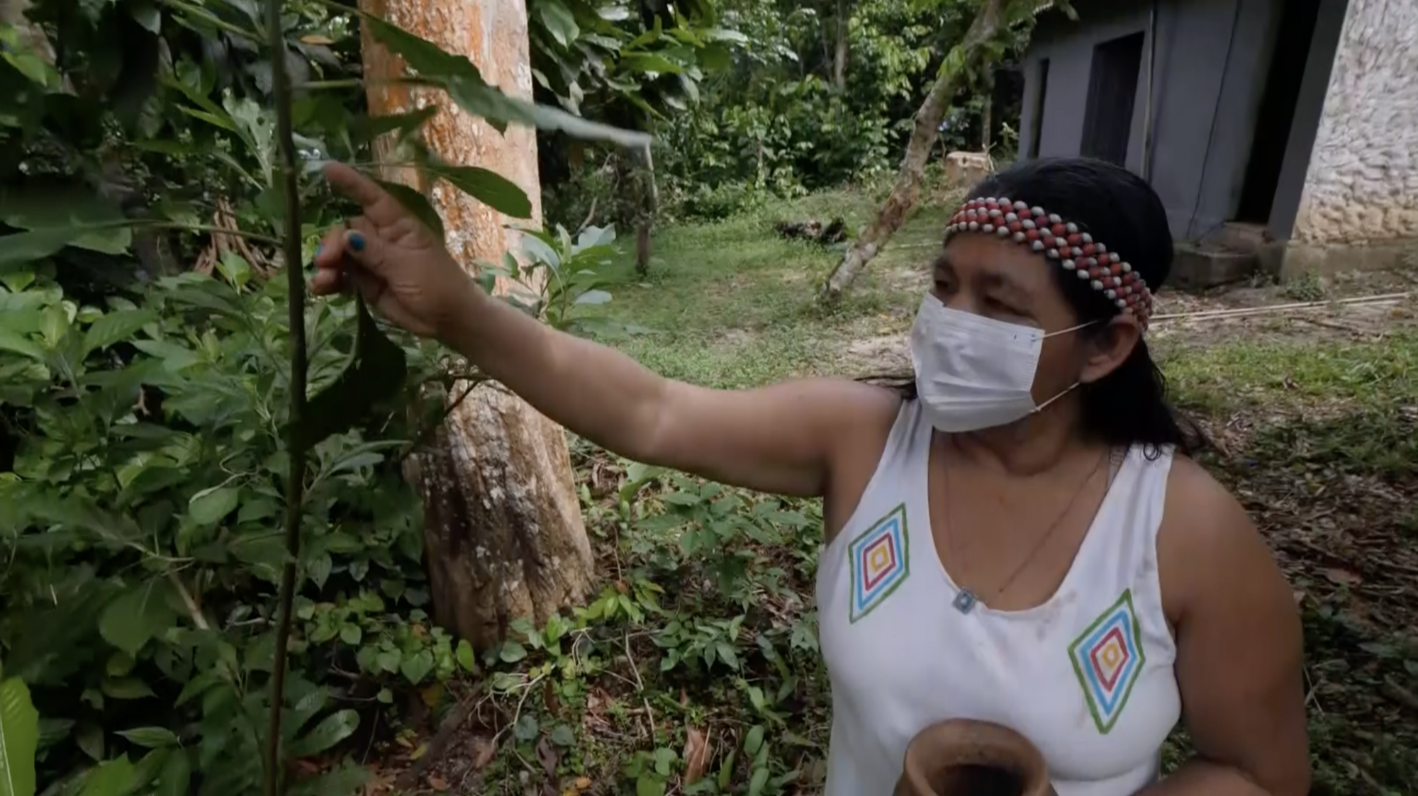 How an Amazon rainforest village survived Covid-19 with modern and ...