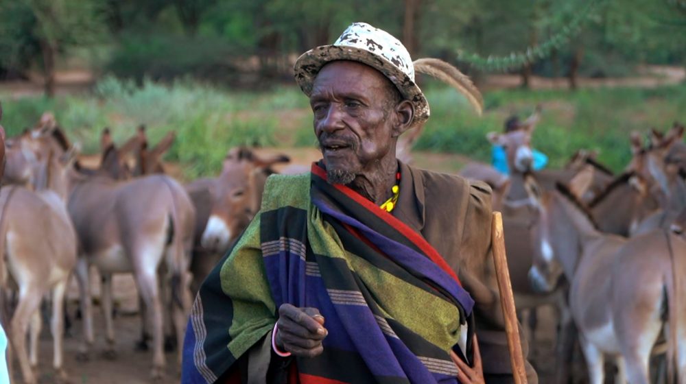 The slaughter of donkeys for the Chinese black market is devastating ...