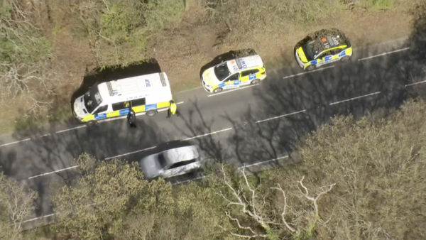 Body discovered in Epping Forest after disappearance of teenager ...