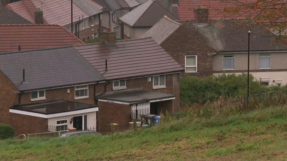 Red Wall Tory MPs ‘pressuring’ ministers over move to electric cars ...