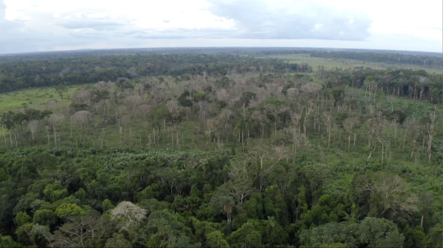 Colombia’s Amazon: Fears authorities turning blind eye to illegal ...
