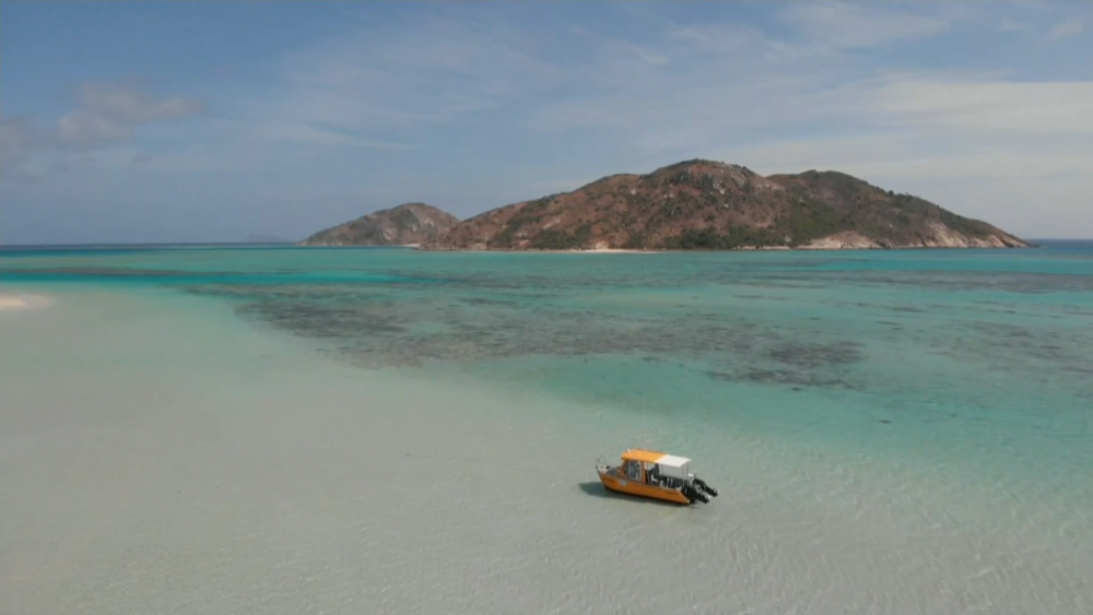 Underwater photographer chronicles devastating effect of climate change ...