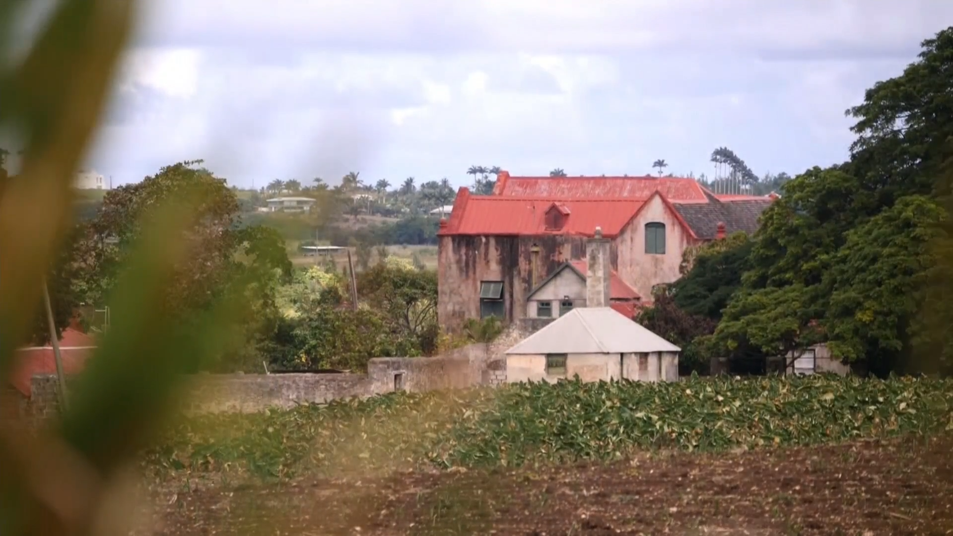 Calls for Drax Hall to be opened to public as Barbados becomes a ...