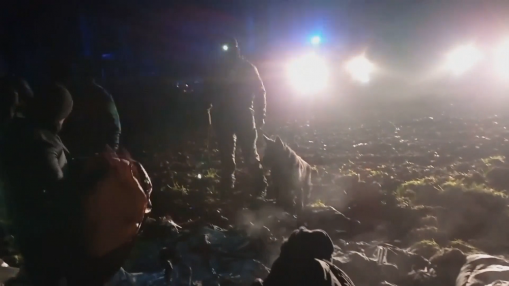 Belarus: Signs authorities are moving some migrants to Lithuania border ...