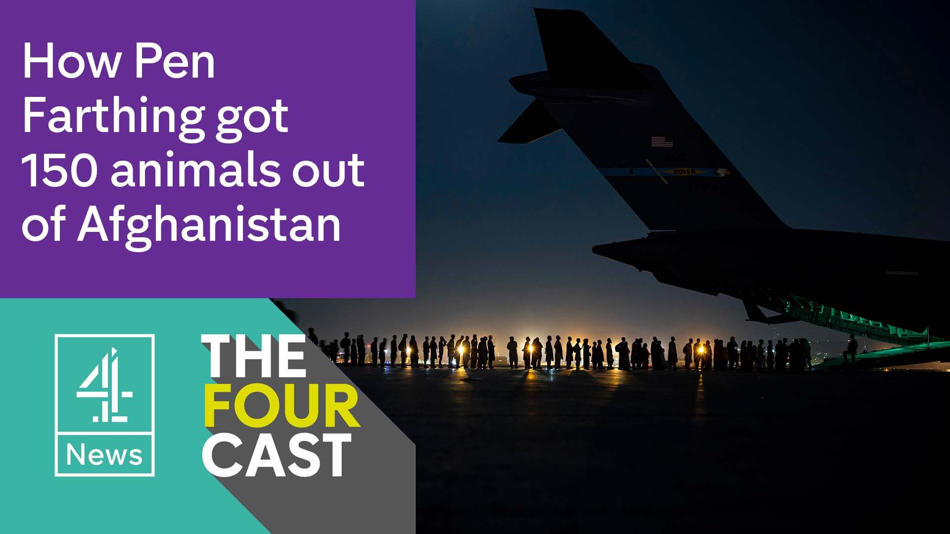How Pen Farthing got 150 animals out of Afghanistan – Channel 4 News