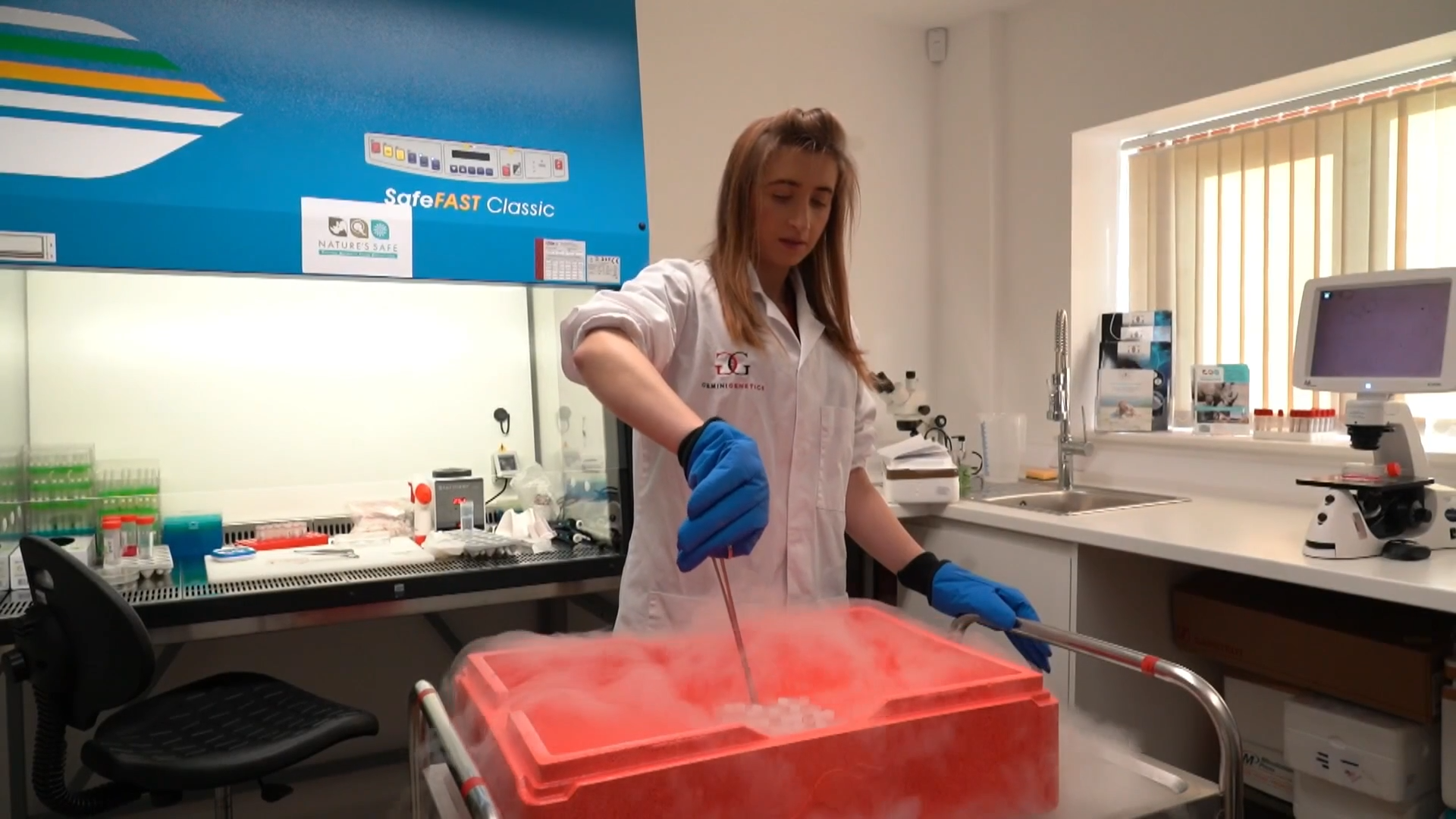 Cryogenic Noah’s Ark: how a frozen biobank could save animal species ...