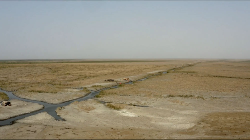 ‘There is no future’ Iraq’s rivers are drying up – Channel 4 News