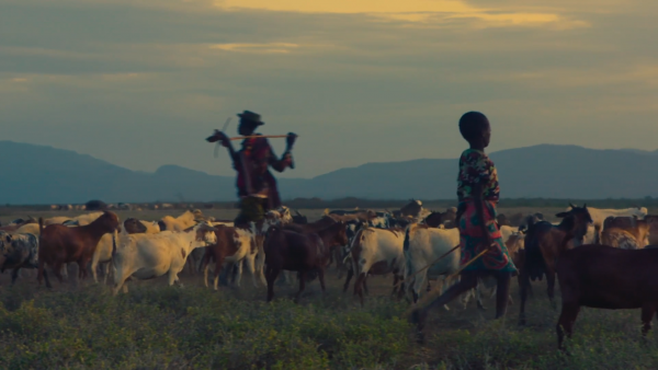 Drought wipes out livestock and causes hunger crisis in Kenya – Channel ...