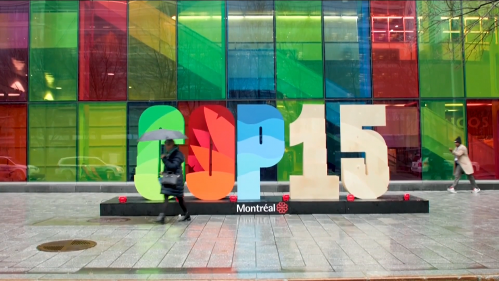 COP15: World representatives meet for once-in-a-decade chance to save ...