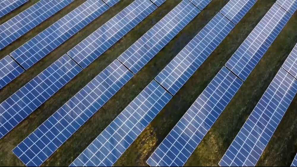 Net zero: Tory MP warns government must take urgent action to meet ...