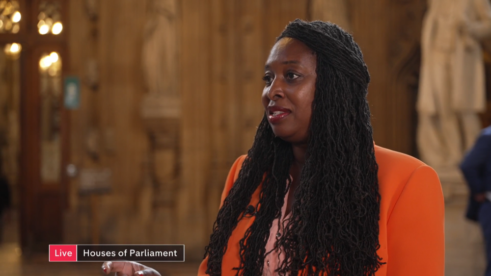 ‘Our democracy shouldn’t grind that slowly: Dawn Butler on holding ...