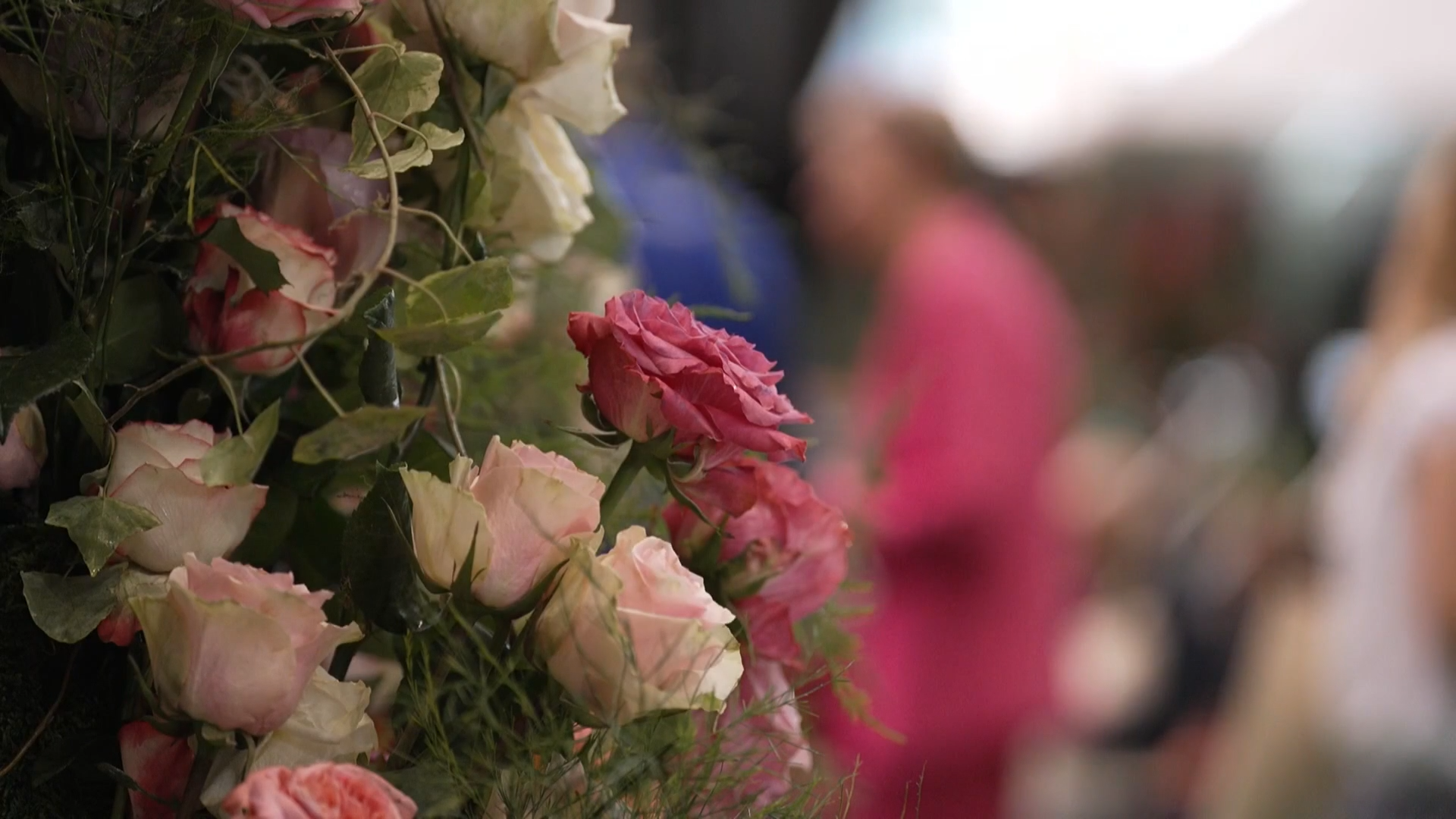 Who will be the flower superpower? The floral world cup kicks off in ...