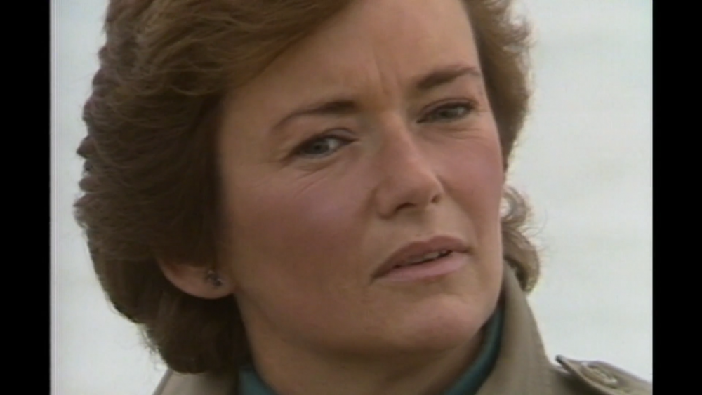 Glenys Kinnock: Former Labour minister, MEP and wife of Neil Kinnock ...