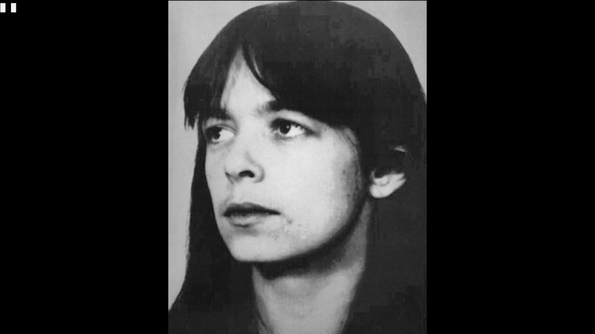 Red Army Faction: Alleged former member of left-wing militant group ...