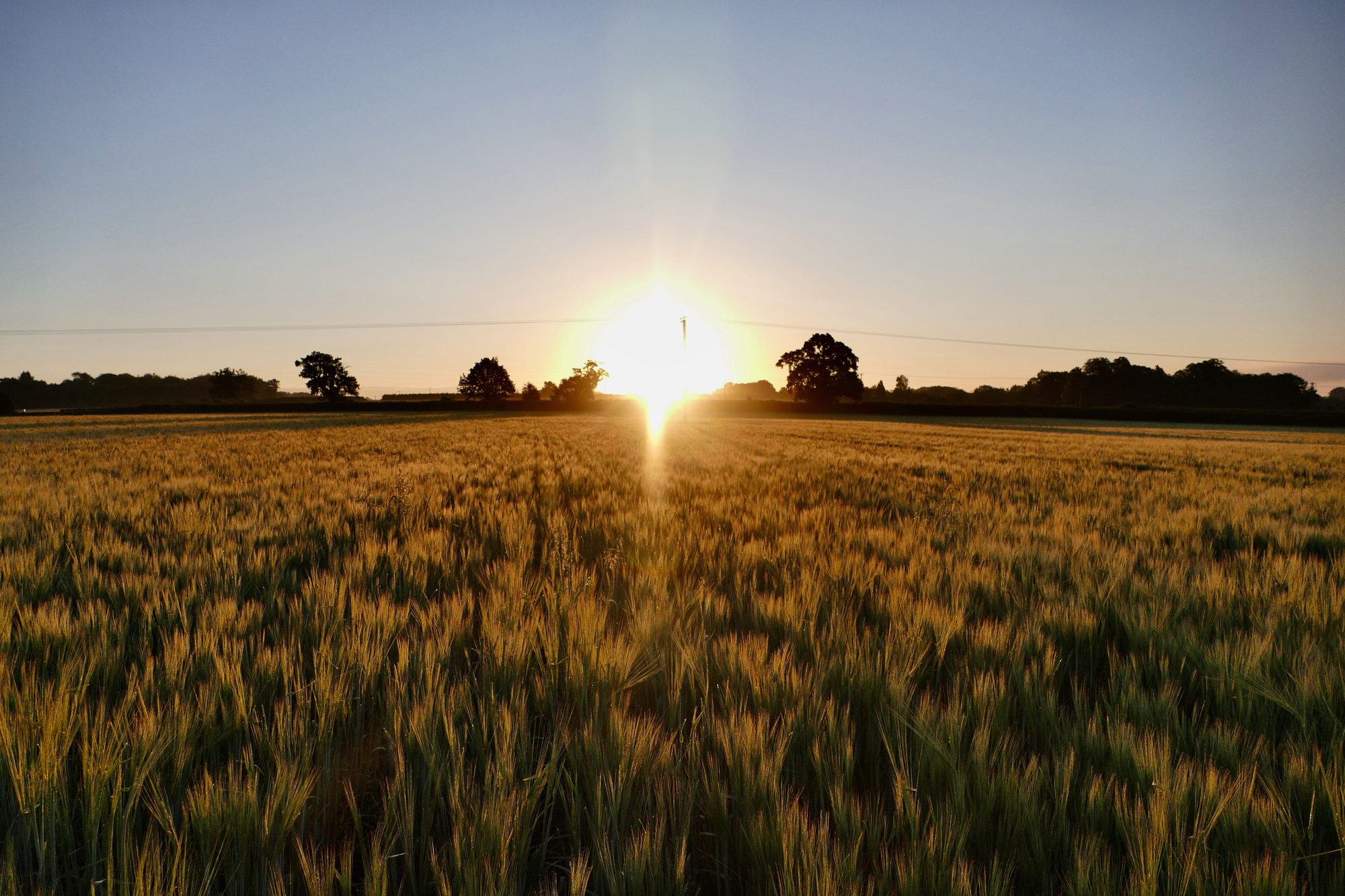 August weather – any signs of sunshine and warmth? – Liam Dutton ...