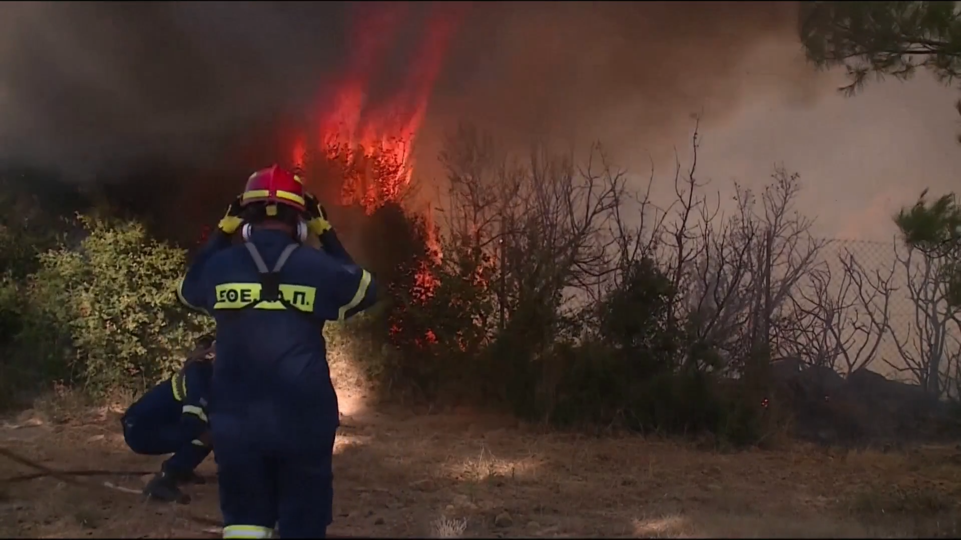Wildfires reach Athens forcing thousands from their homes – Channel 4 News