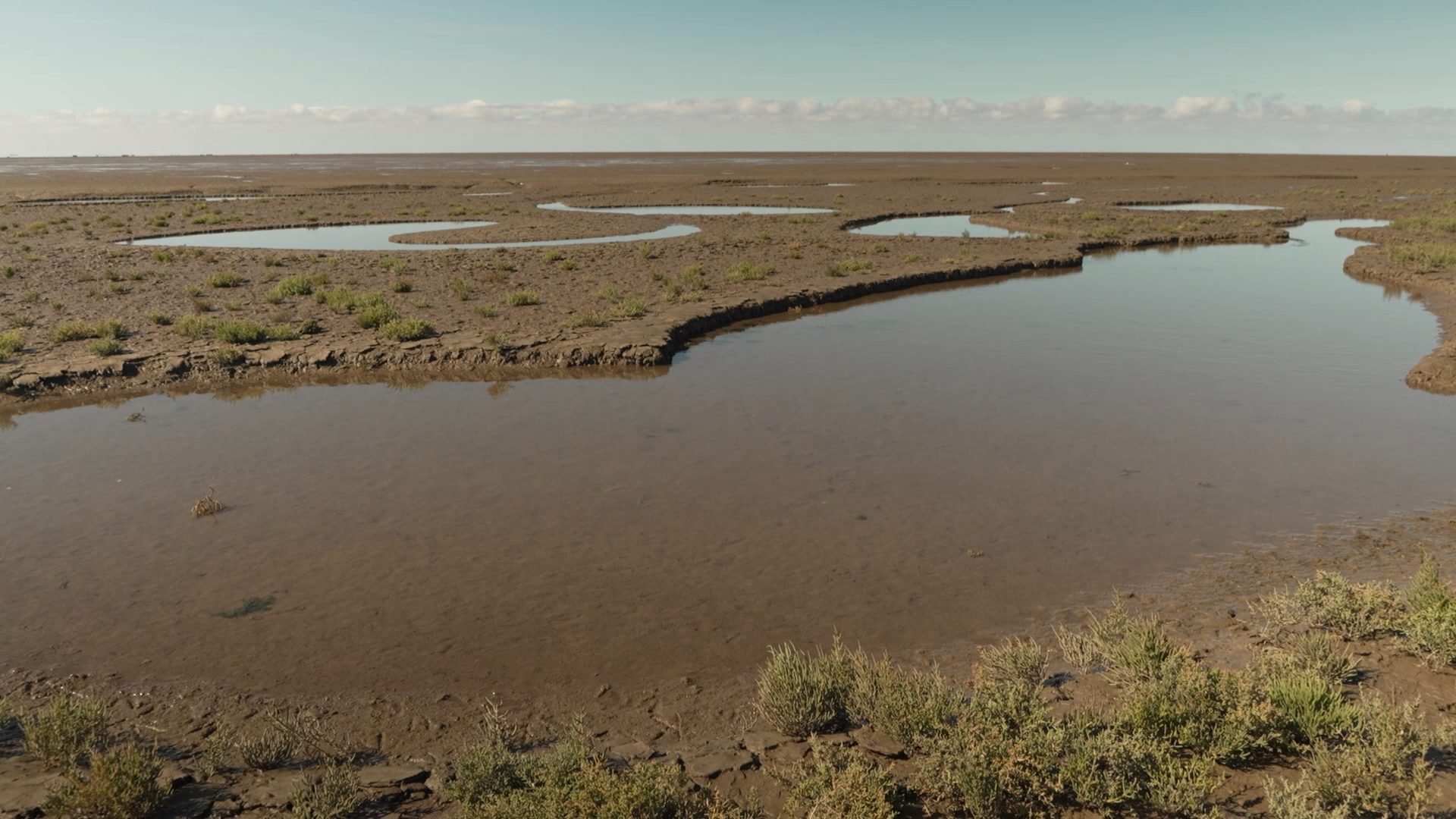 Exclusive: New data reveals how sea mud is far more important than we ...