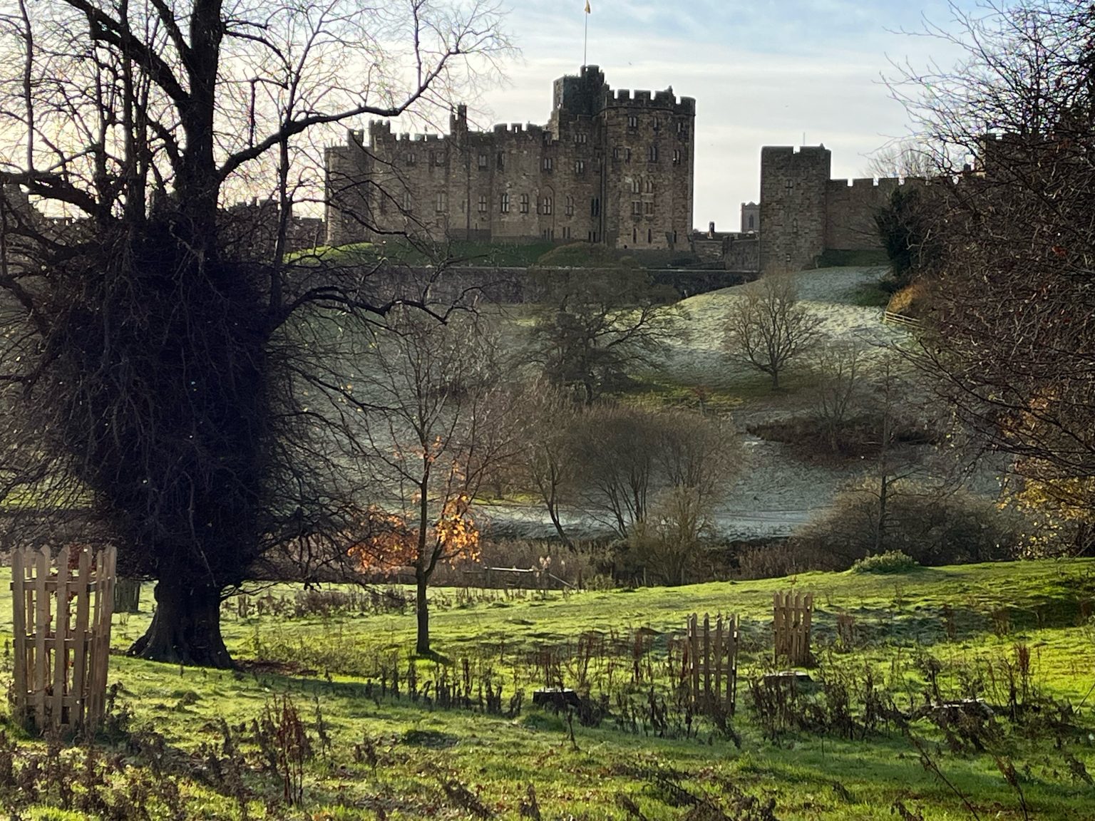 The Wildlife Trusts buy Rothbury Estate in landmark purchase – Channel ...