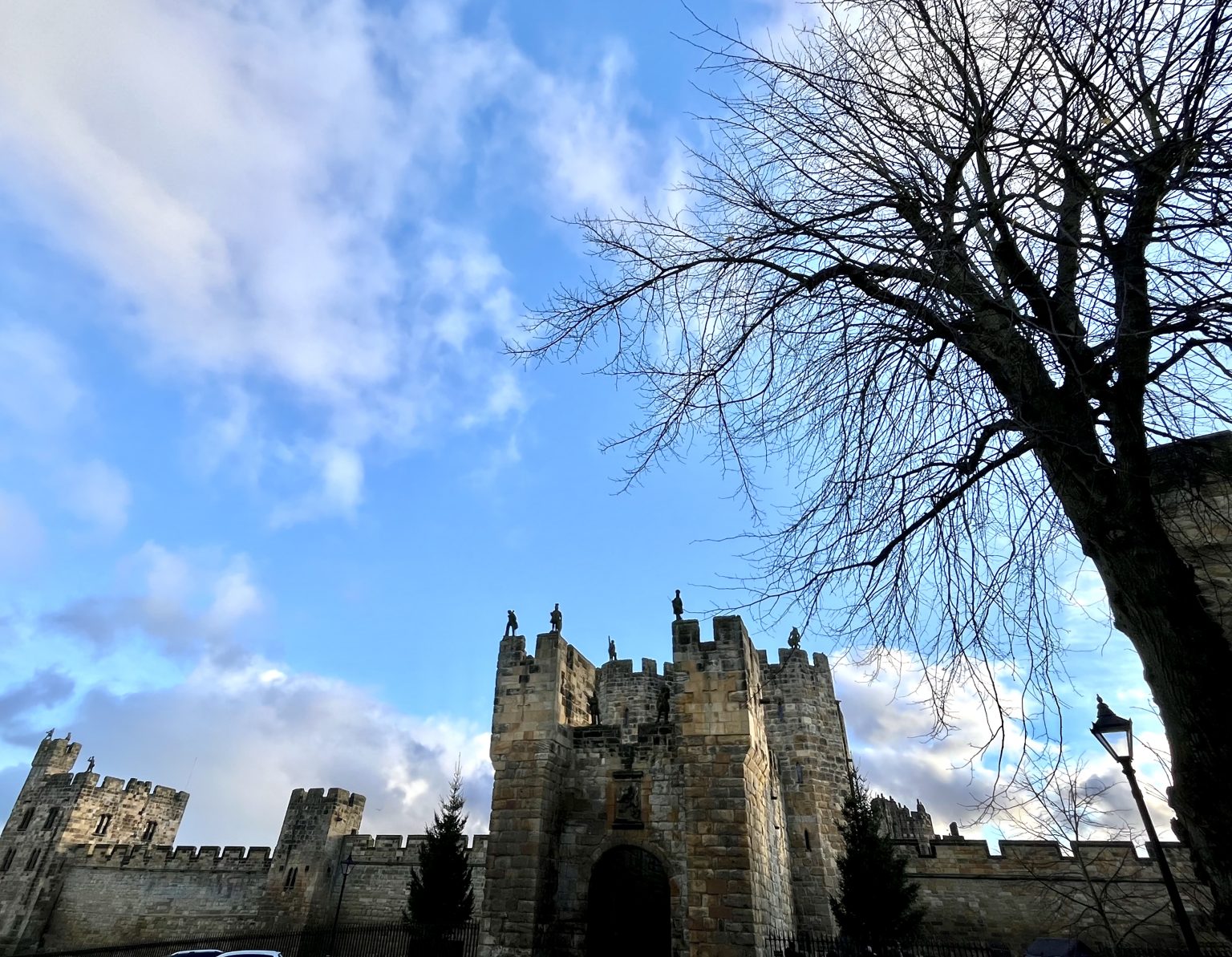 The Wildlife Trusts buy Rothbury Estate in landmark purchase – Channel ...