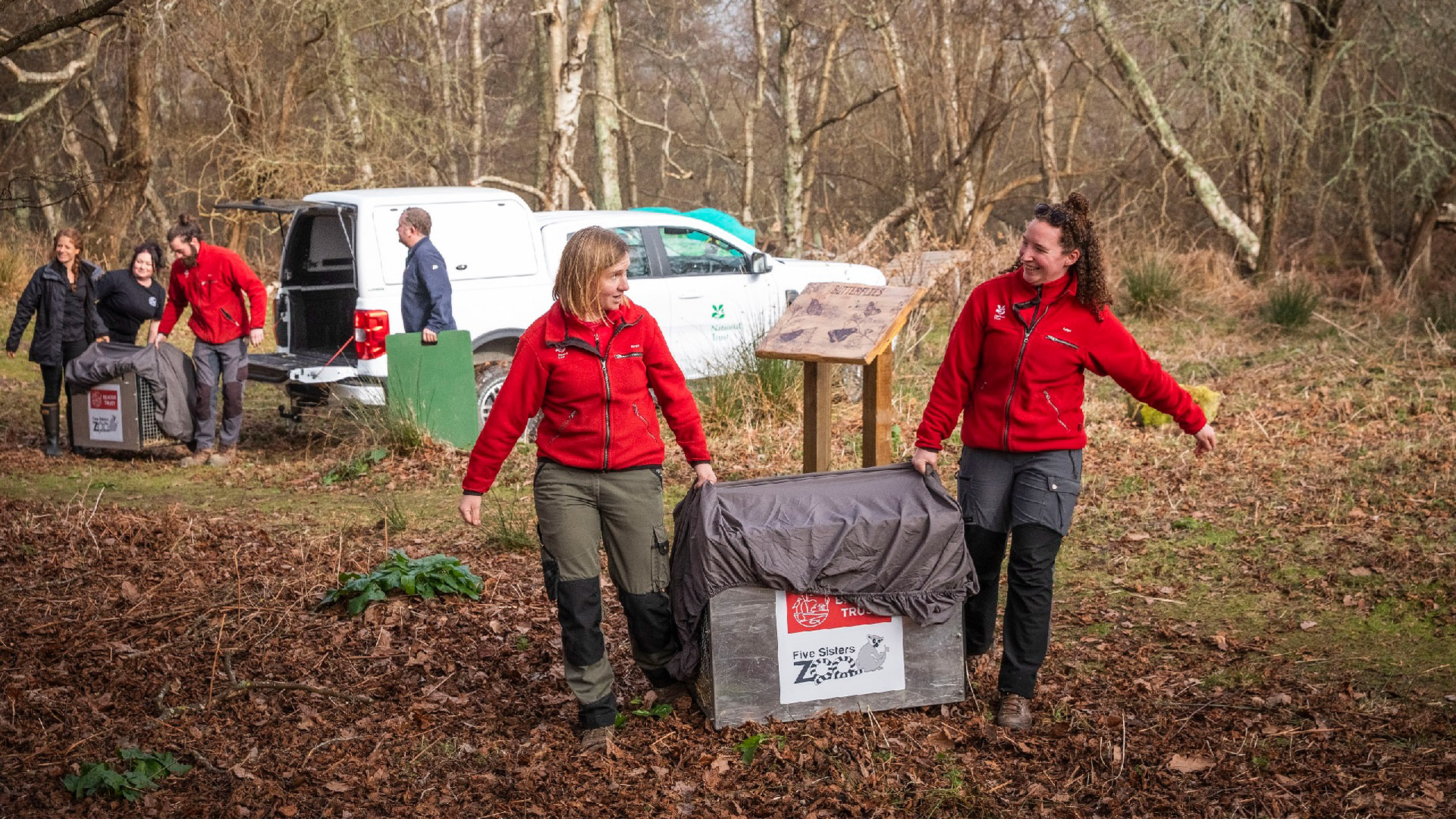 End of ‘beaver bombing’ as wild beavers legally return to England ...