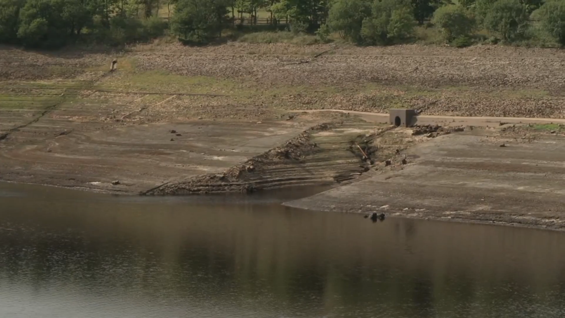 Drought declared in five areas in England as temperatures soar ...