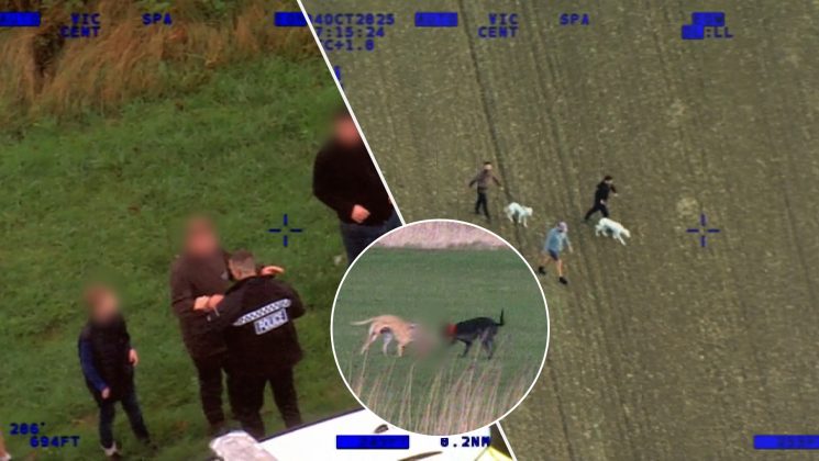Farmers welcome tougher laws and sentences on illegal hare coursing ...